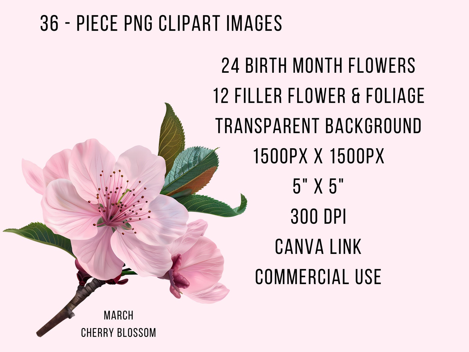Realistic Birth Month Flowers | 24 Flowers With 12 Filler Flowers ...