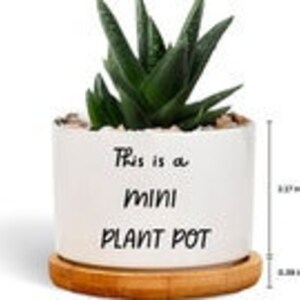 Personalized Retirement Gifts for Women - Custom Mini Succulent Plant ...