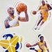 Basketball Stickers Pack Kobe Stickers Bundle Laptops Hydro Flask and ...
