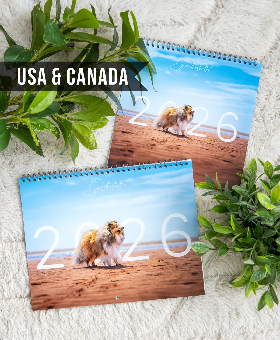 Goose the Sheltie 2026 Wall Calendar [US & CA] - Etsy