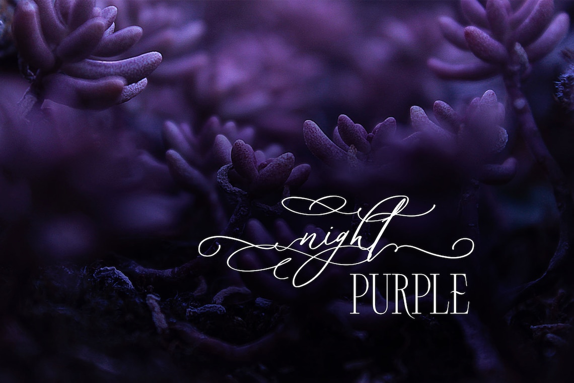 Wedding Cyrillic Script Font With Tails Handwritten Cursive Font ...