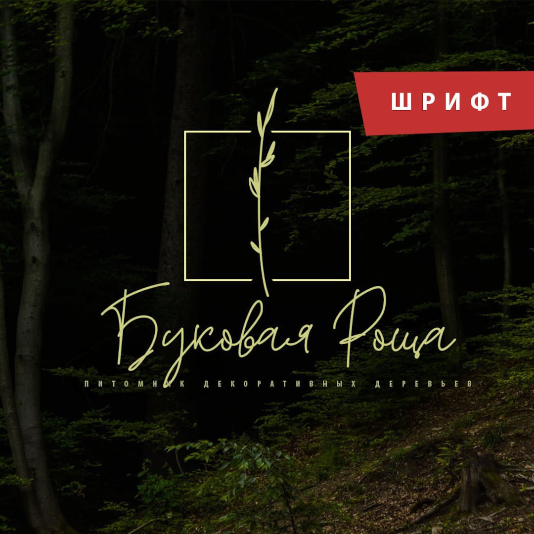 Russian Stylish Handwrite Cyrillic Monoline Cute Script Font ...