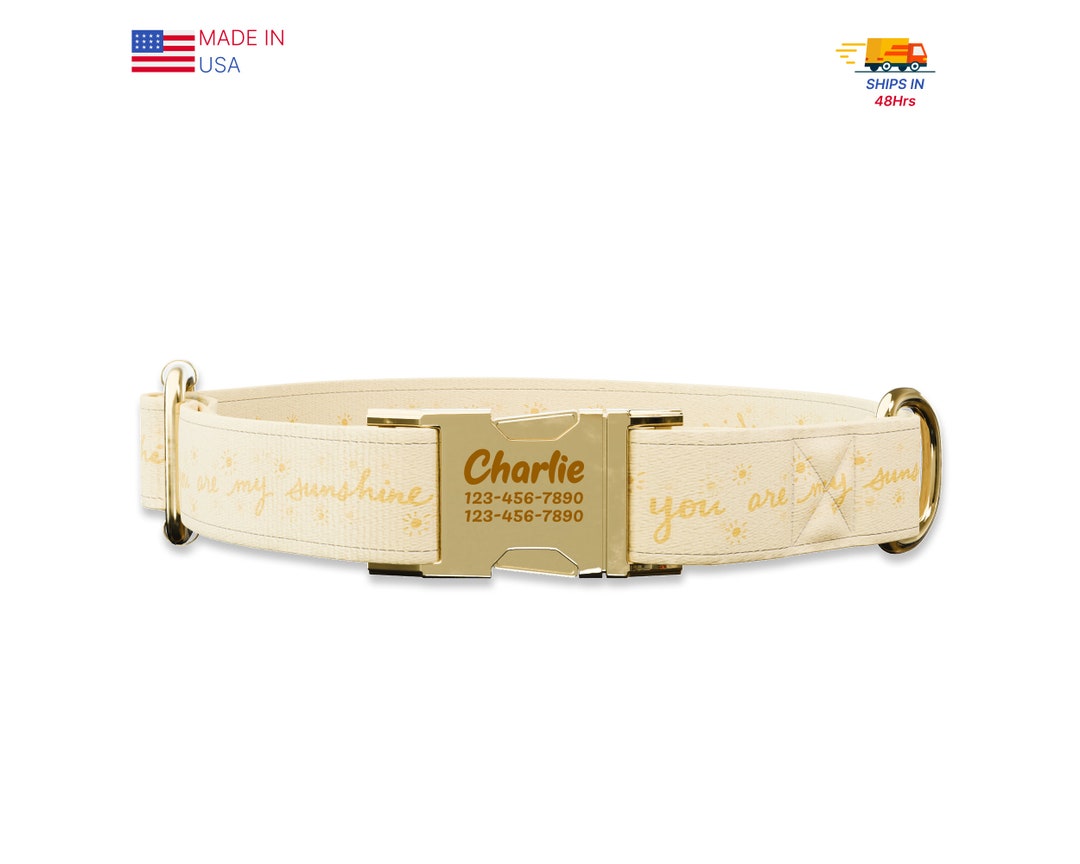 You Are My Sunshine Dog Collar W/ Metal Buckle, HAND MADE, Personalized ...