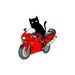 Black Cat Sticker Ride Superbike Sticker Decal for Cat Lover Vinyl ...