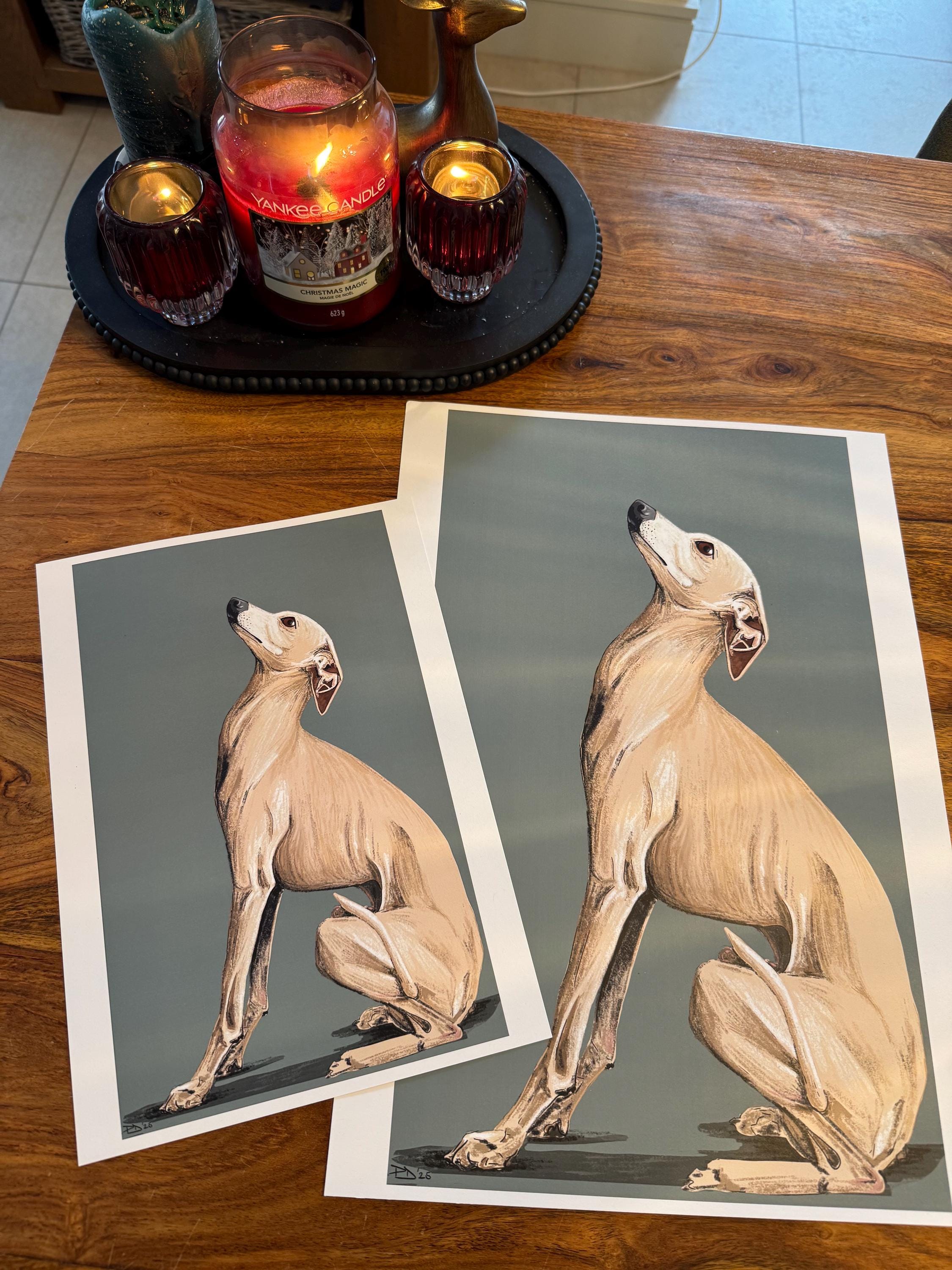 Whippet Dog Art “sabrina” | Unique Digital Art Print | Hand Drawn by UK ...