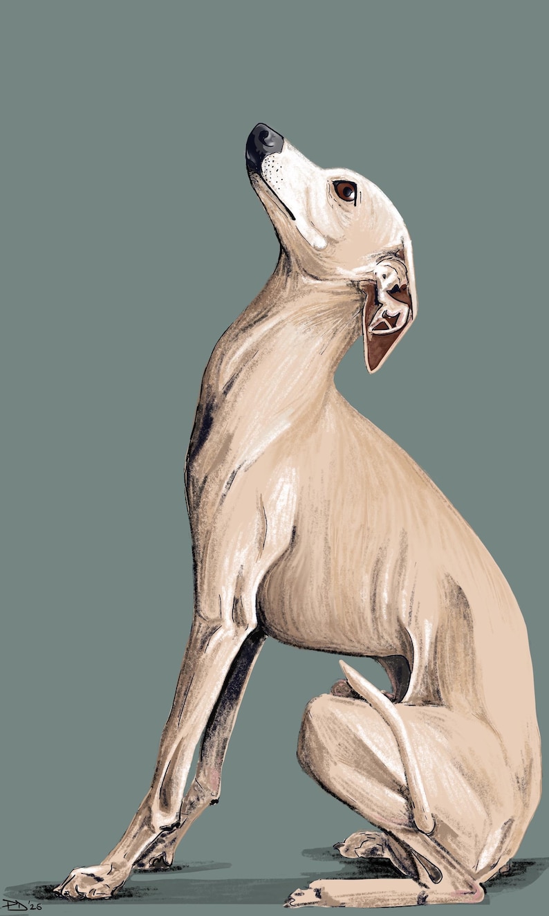 Whippet Dog Art “sabrina” | Unique Digital Art Print | Hand Drawn by UK ...