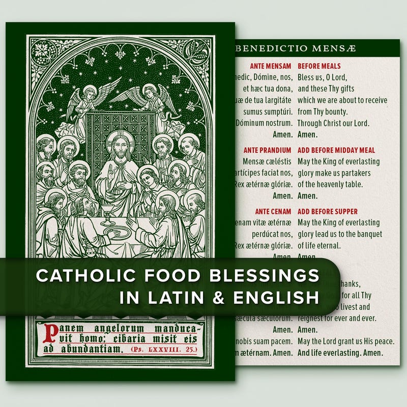 Catholic Meal Prayer - Etsy