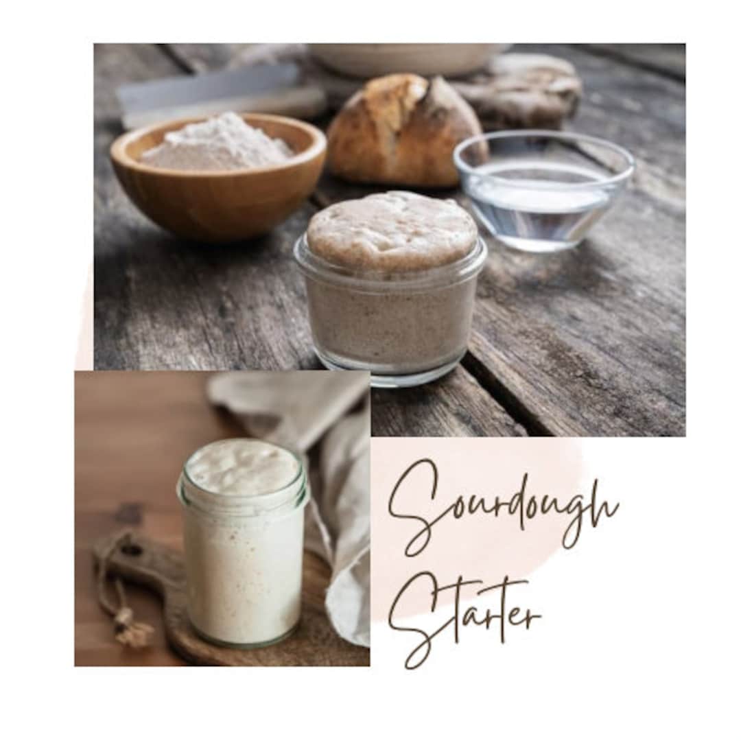 Alaska Sourdough Starter From 1800’s Gold Rush - Etsy