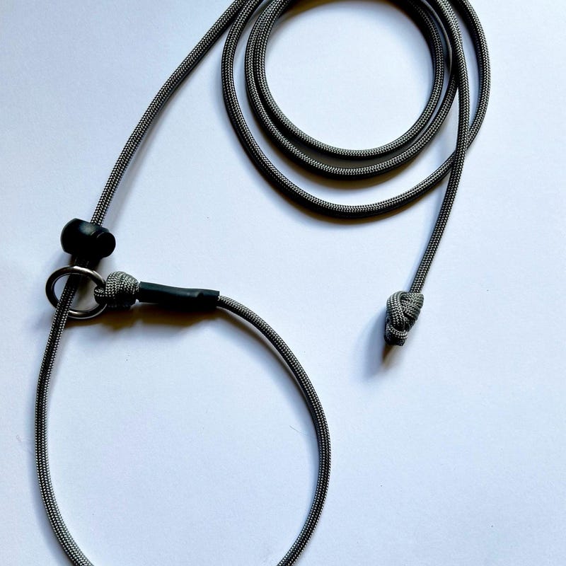 Dog Slip Lead Long - Etsy UK