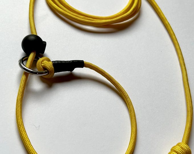 Paracord Slip Leash, Slip Collar and Dog Leash, All in One Paracord Dog ...