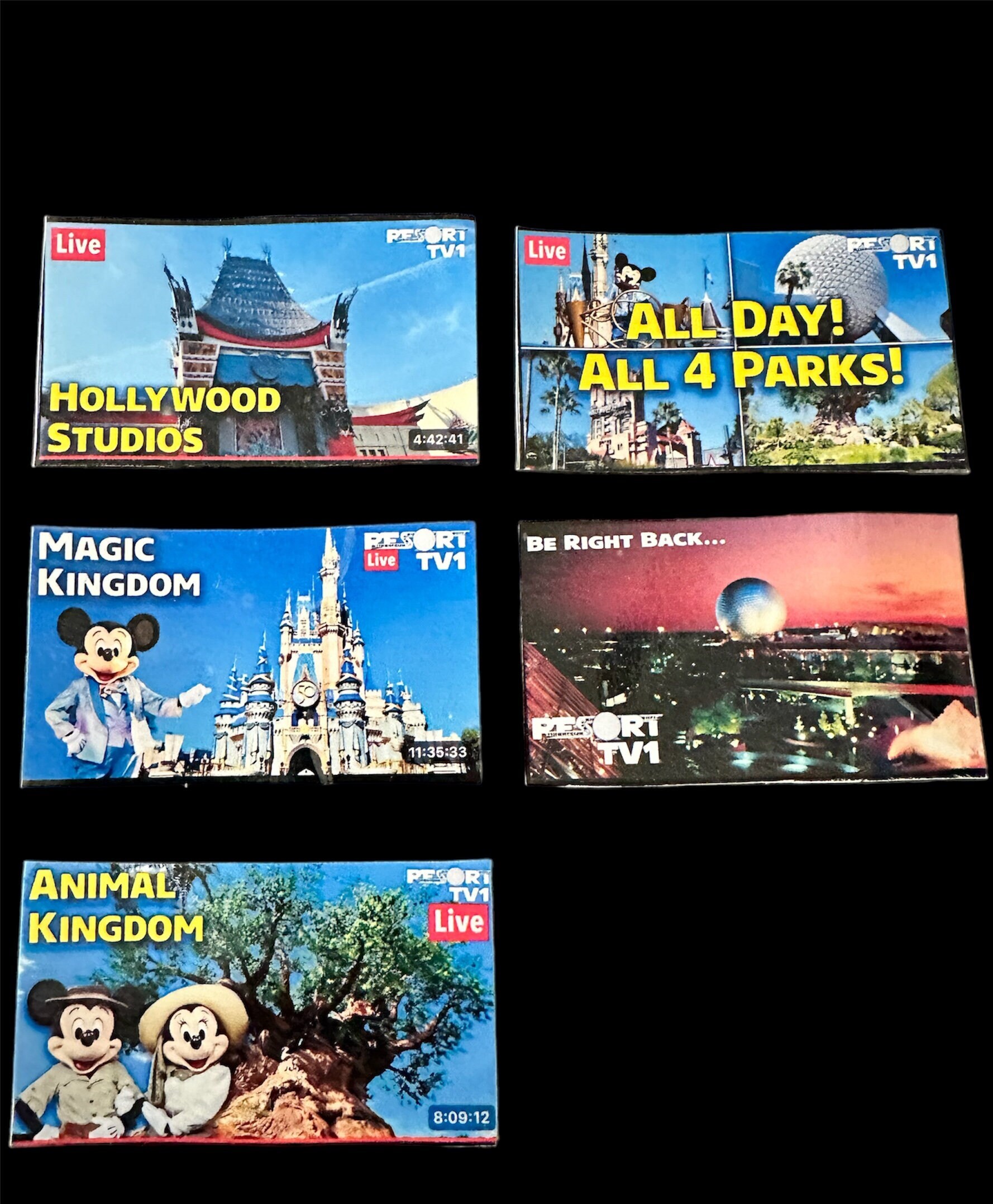 Stitch Mini Park Tvs Featuring Resort TV1 - Etsy