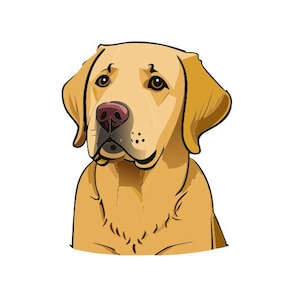 Yellow Lab Decal Sticker - Etsy