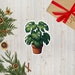 Monstera Deliciosa Decal Sticker - Etsy