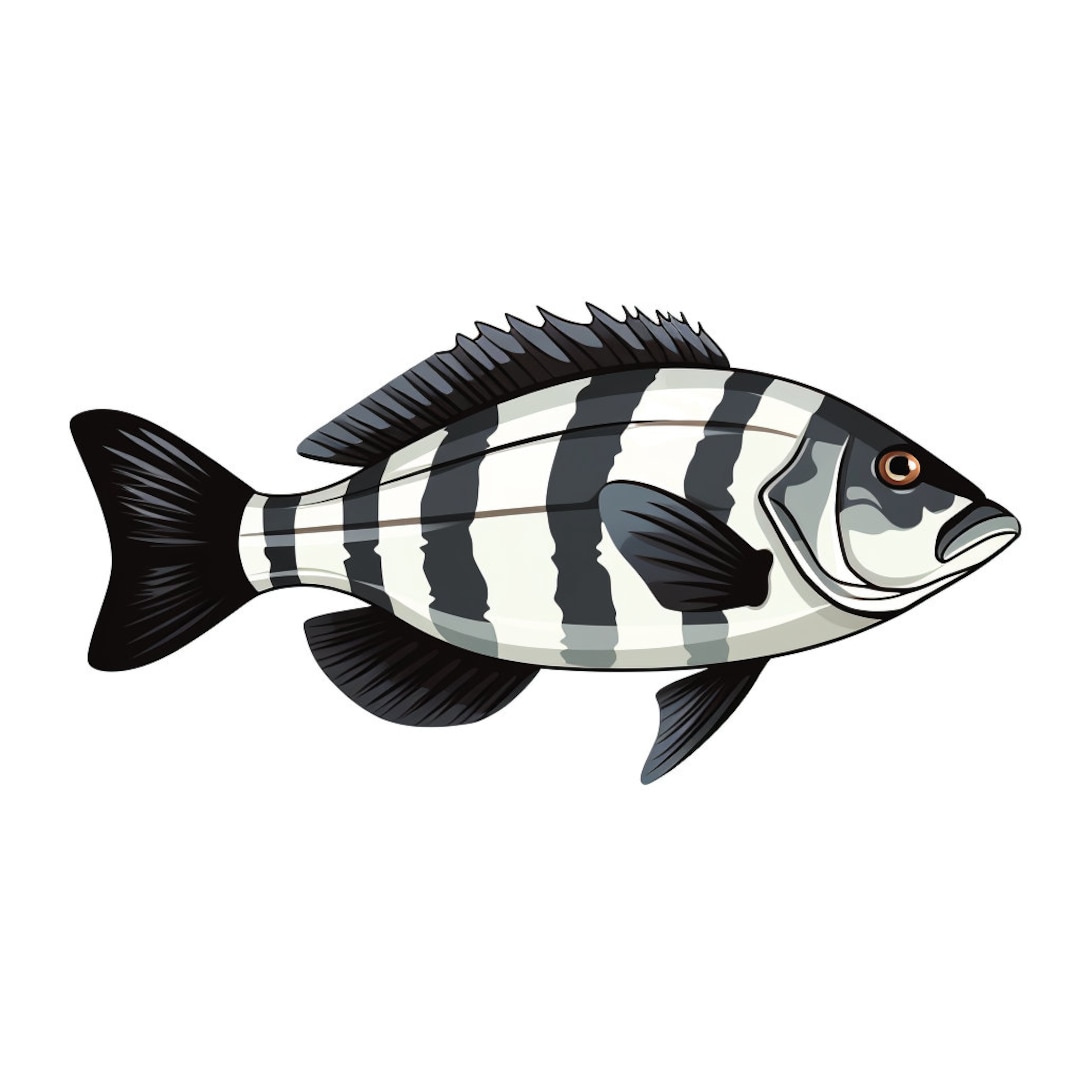 Sheepshead Fish Decal Sticker - Etsy