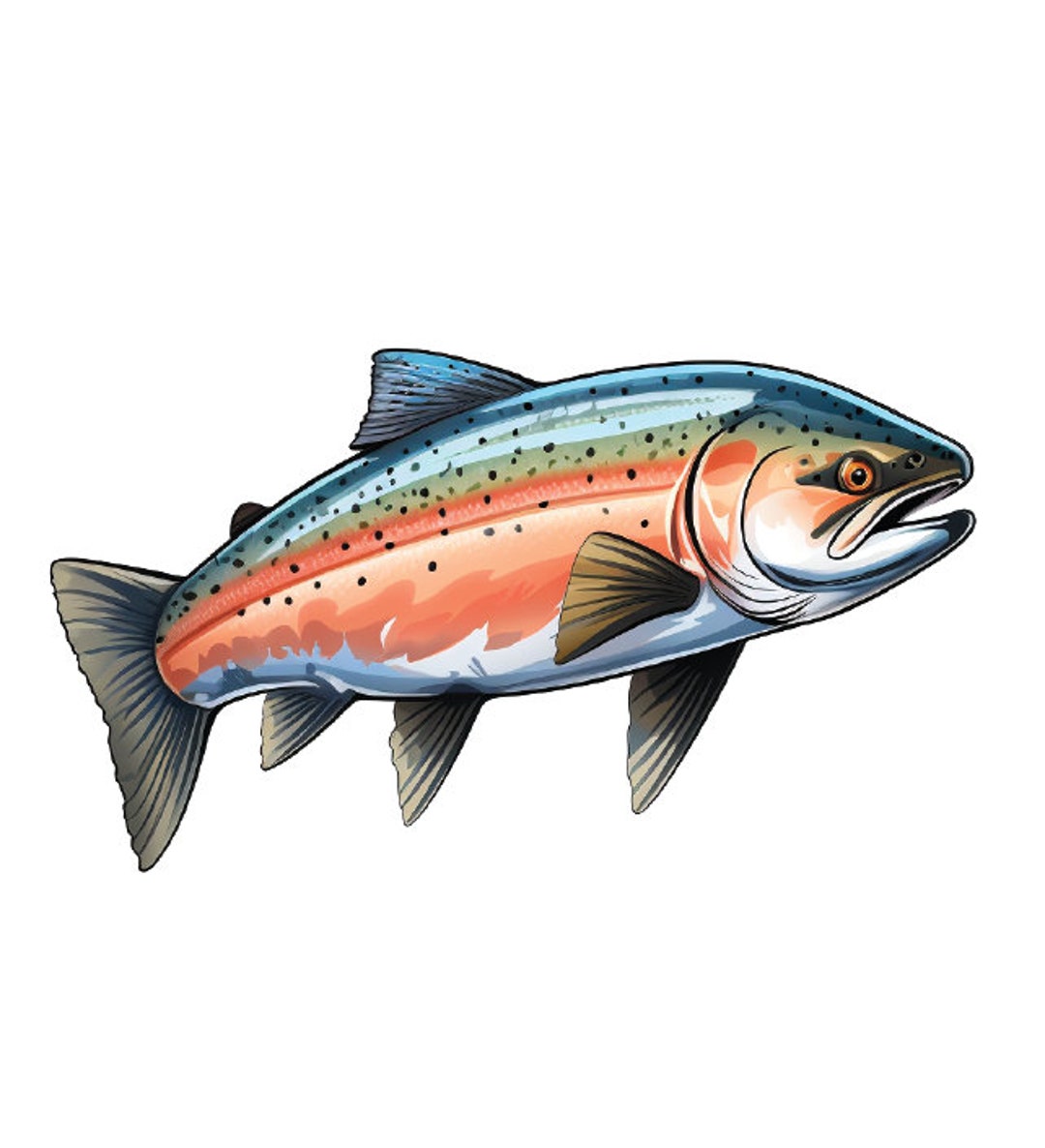 Steelhead Trout Decal Sticker - Etsy