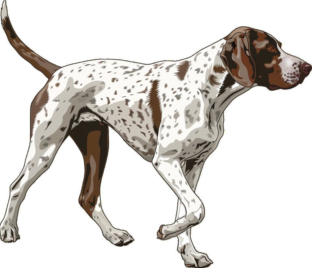 German Shorthaired Pointer Decal Sticker - Etsy