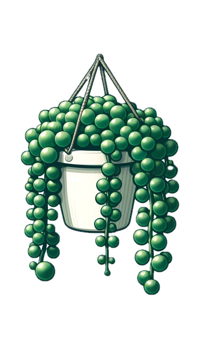 String of Pearl Decal Sticker - Etsy