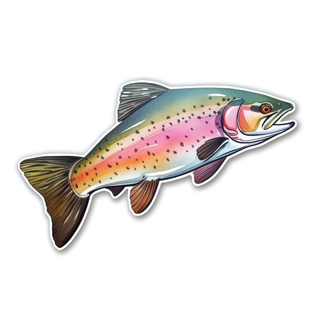 Rainbow Trout Decal Sticker - Etsy