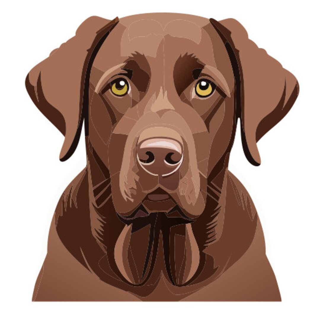 Chocolate Lab, Labrador Retriever Decal Sticker - Etsy