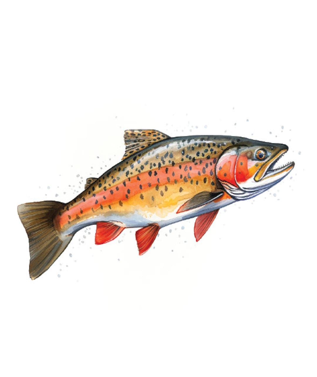 Brook Trout Decal Sticker - Etsy