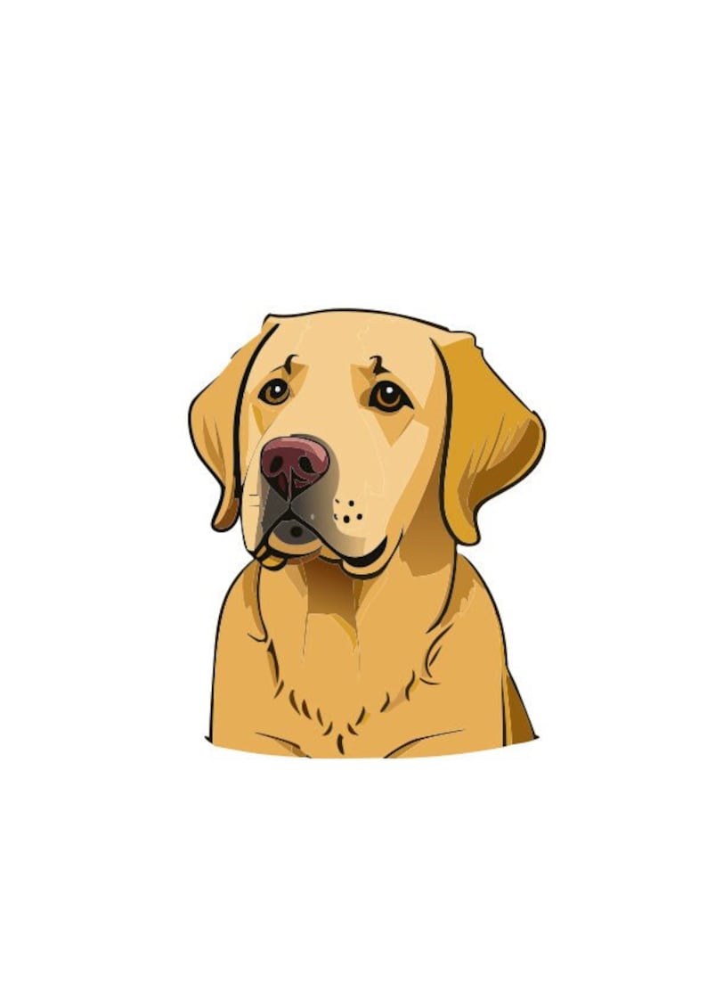 Yellow Lab Decal Sticker - Etsy