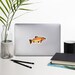 Colorado Golden Trout Decal Sticker - Etsy