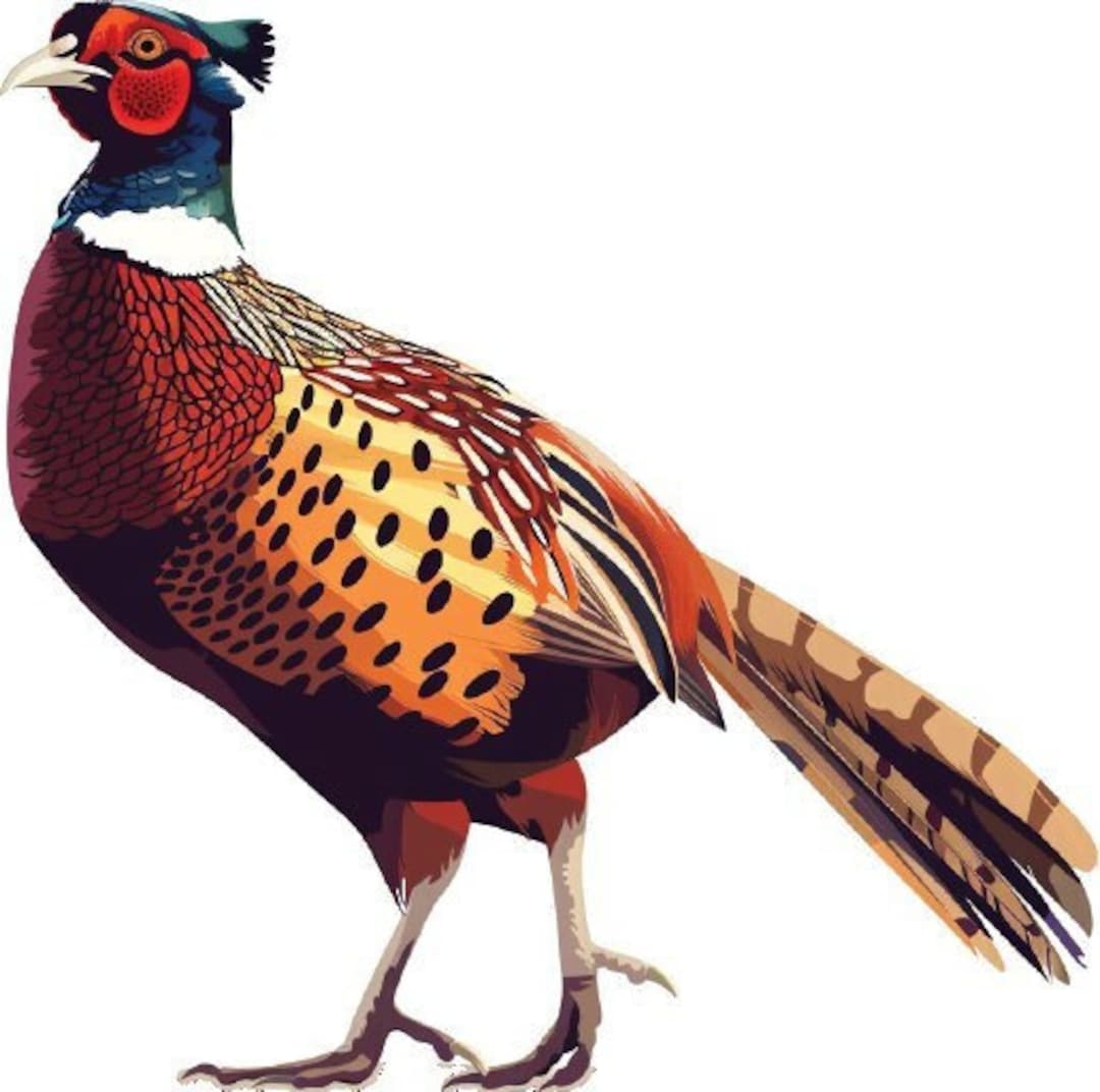 Pheasant Decal Sticker - Etsy