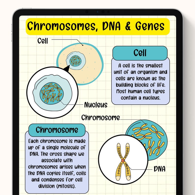Preppy Handwriting Font for Notes, Digital Planners and Study | Sunny ...