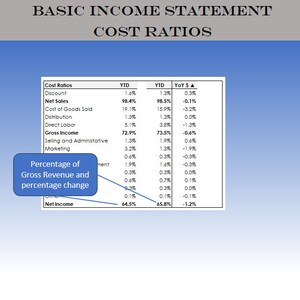 Income Statement Template With Cost Ratios - Etsy