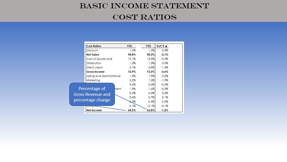 Income Statement Template With Cost Ratios - Etsy