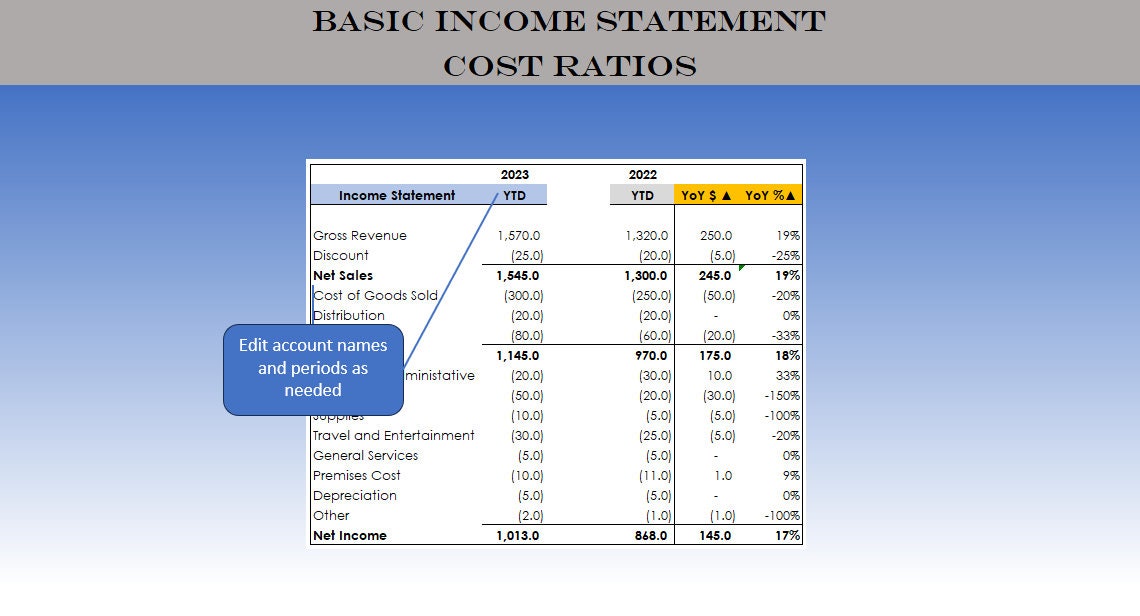 Income Statement Template With Cost Ratios - Etsy