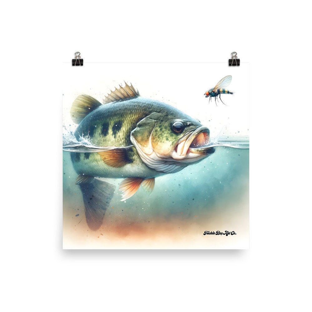Fishing Inspired Artwork largemouth Bass & Fly: Watercolor Encounter ...