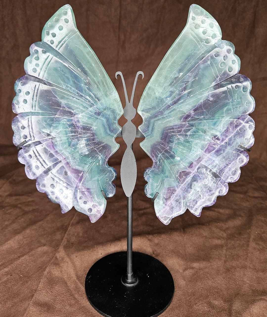 Large Butterfly Wings on Stand - Etsy