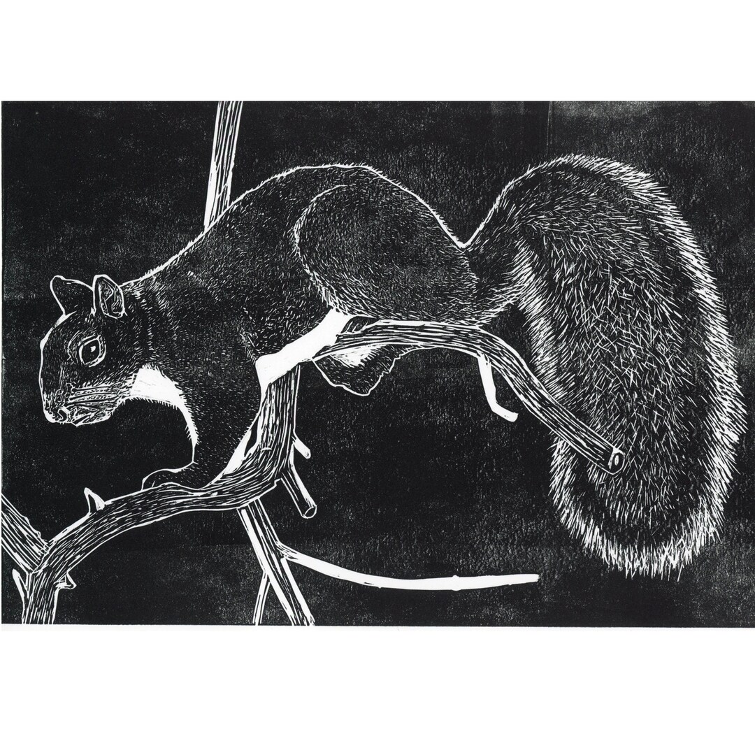 Squirrel Linocut Print. Animal Linocut. Black and White Linocut. Black ...