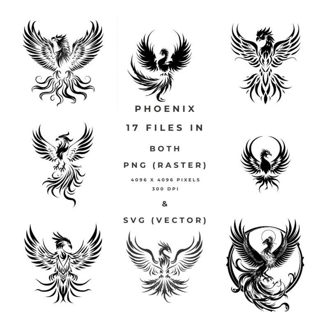 Phoenix, Vector SVG and Raster PNG Files, Set of 17, Transparent ...
