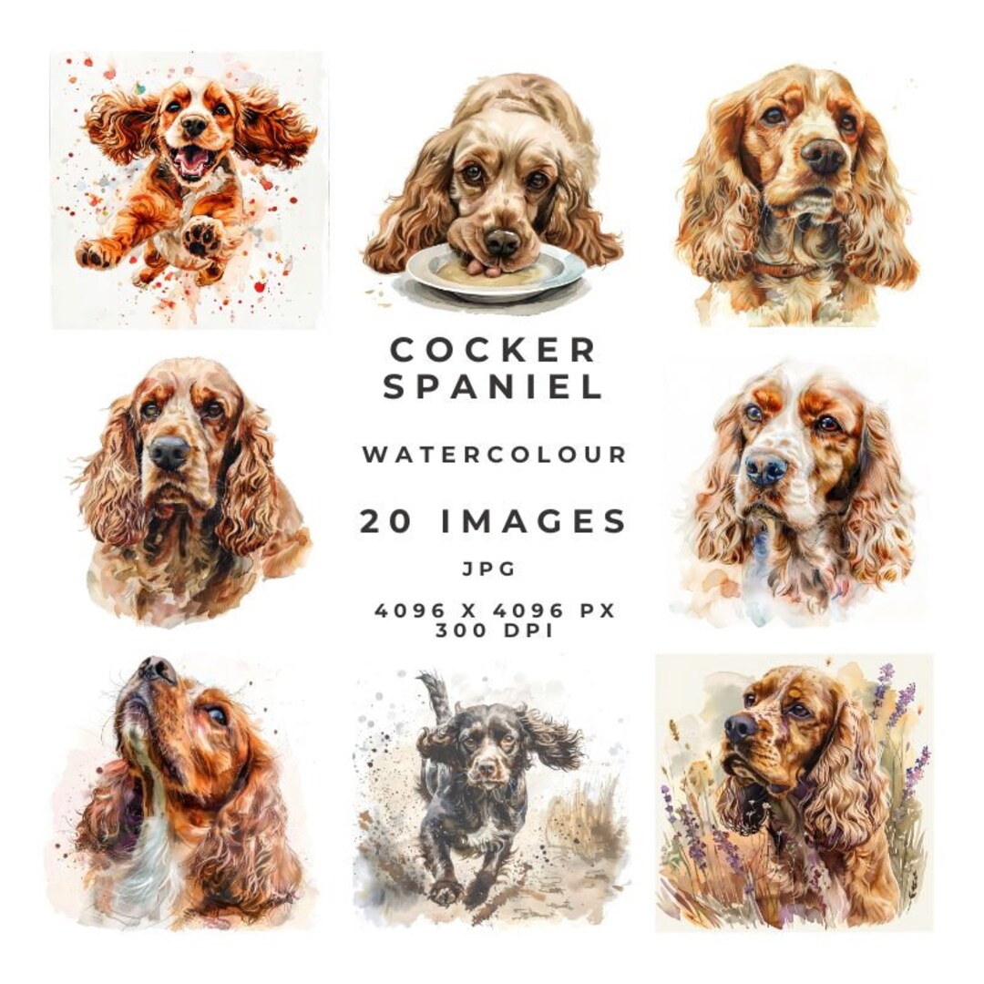 Cocker Spaniel Pet Dog, Watercolour Pack set of 20, 4096 Pixels, 300 ...