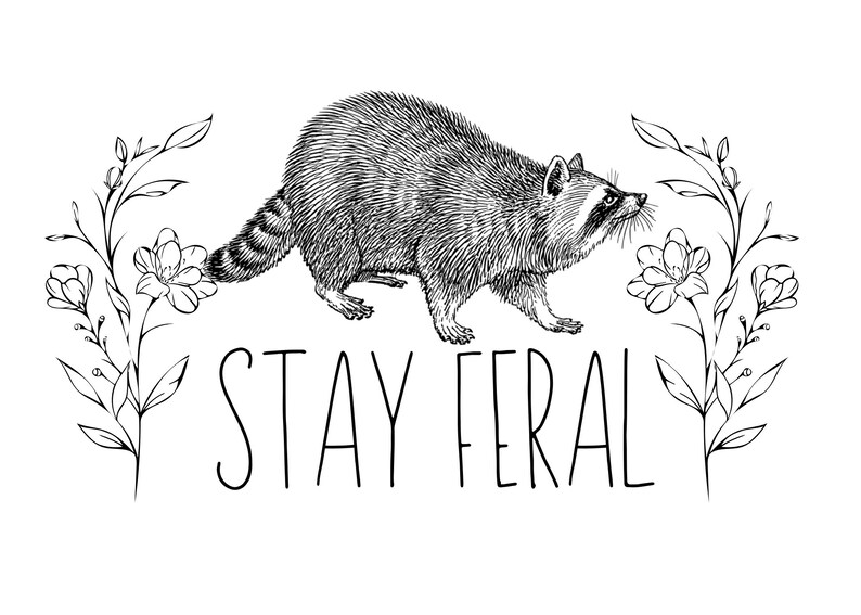 Stay Feral Raccoon Sticker - Etsy