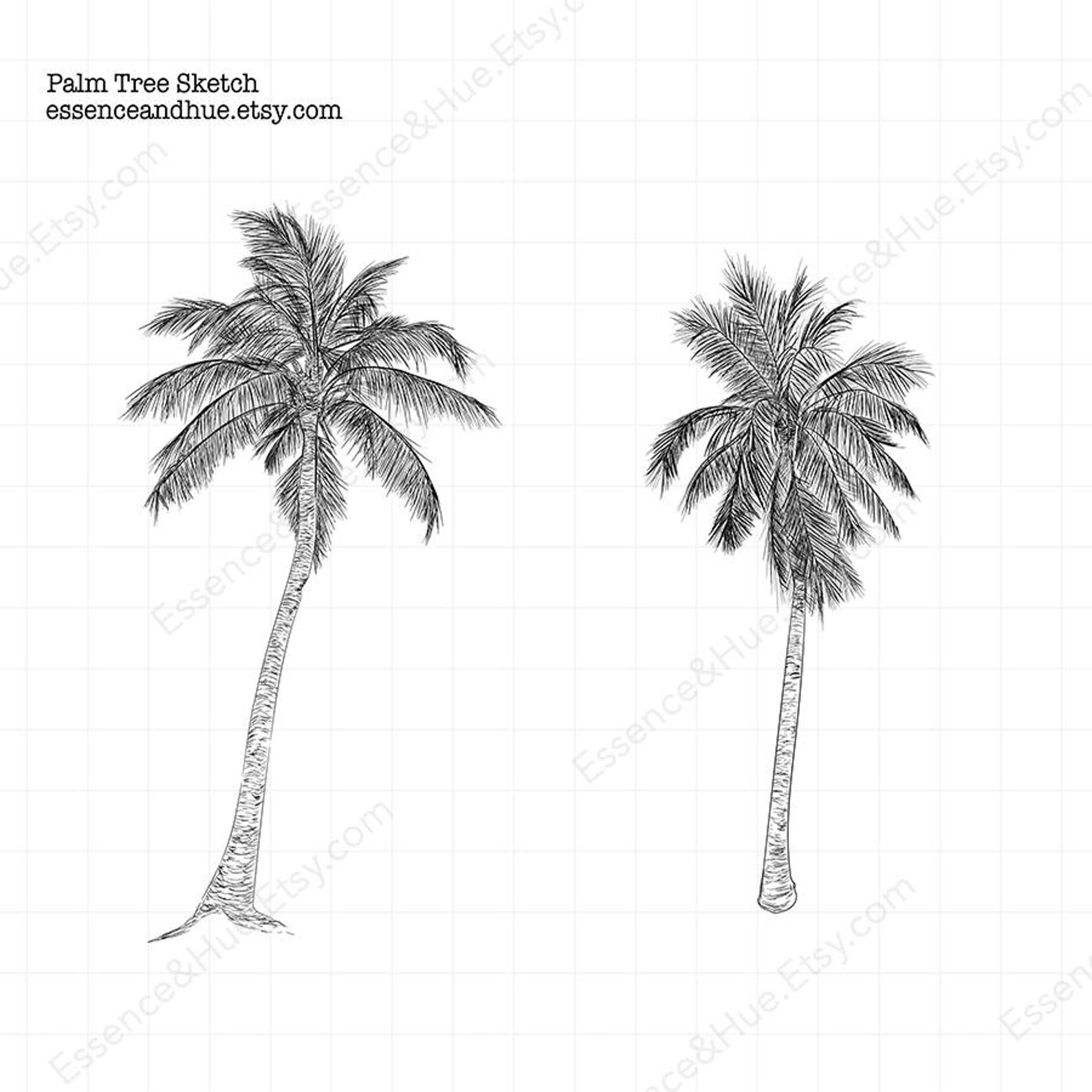 Palm Tree Sketch Pen Line Work SVG Png Jpg Pdf Tropical Florida Hand ...