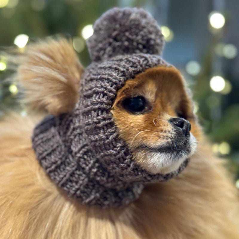 Hats for Dogs - Etsy