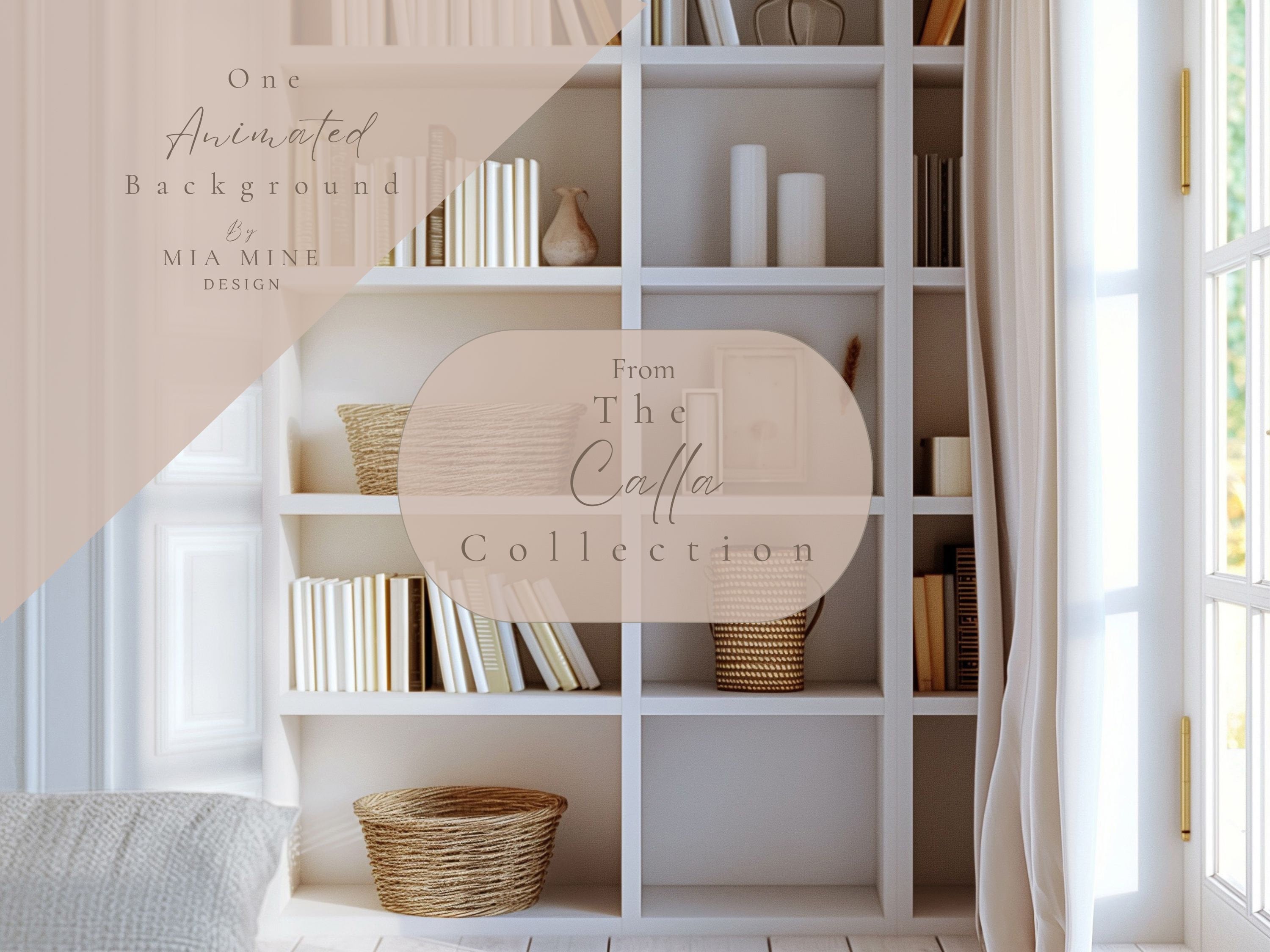 White Bookshelf Zoom Background Bright Natural Light Virtual Work From ...