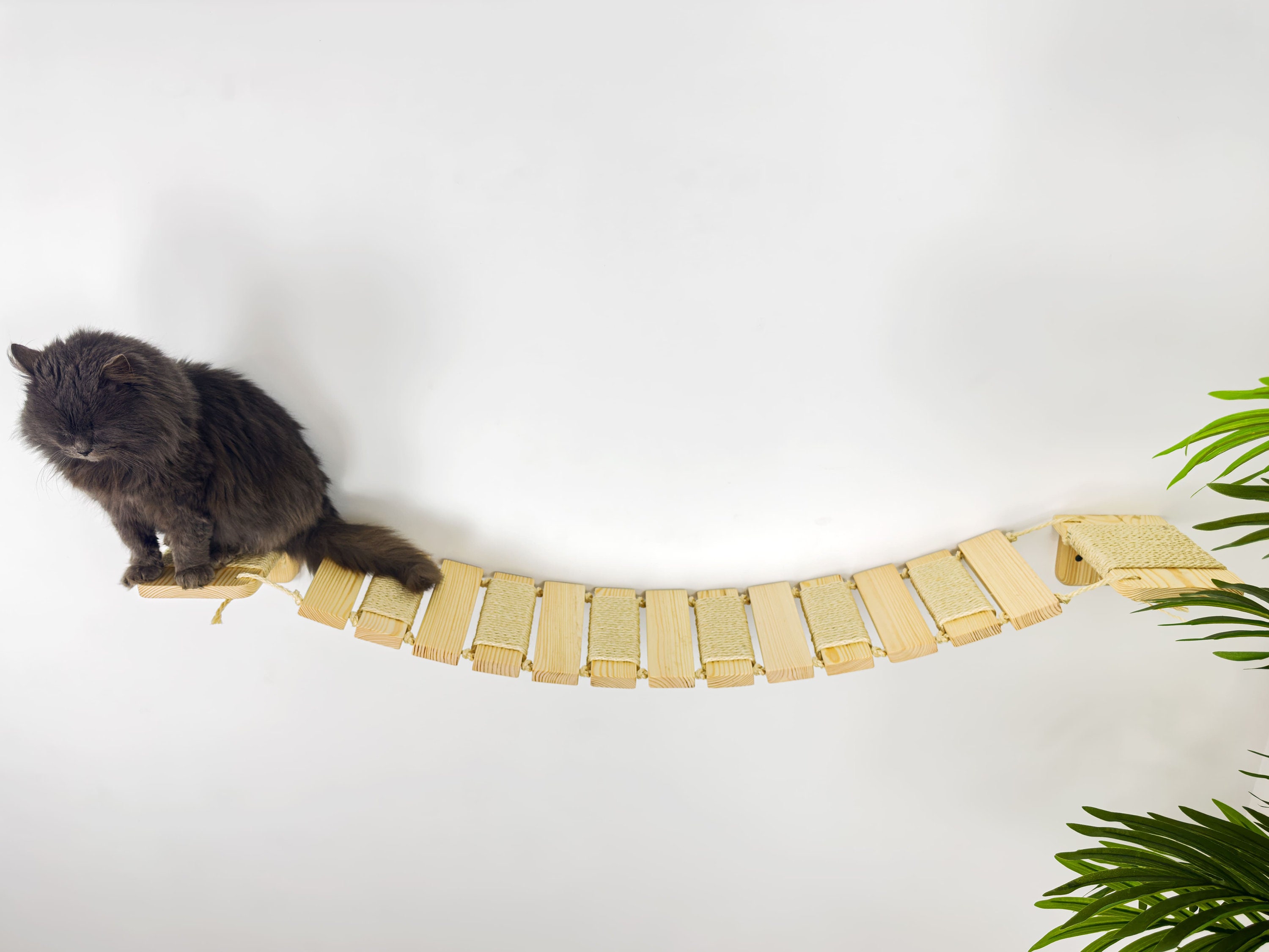 Cat Bridge Play Furniture Wall Walkway for Cats Clear Color Modern Pet ...