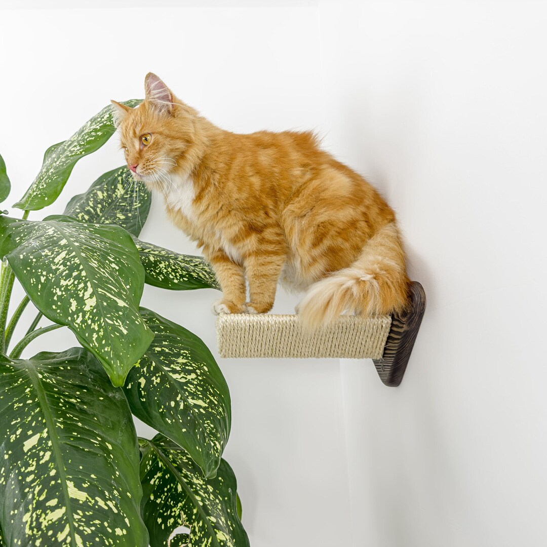 Cat Floating Steps Tree Wall Furniture, Bed Shelves for Wall Climb Pole ...