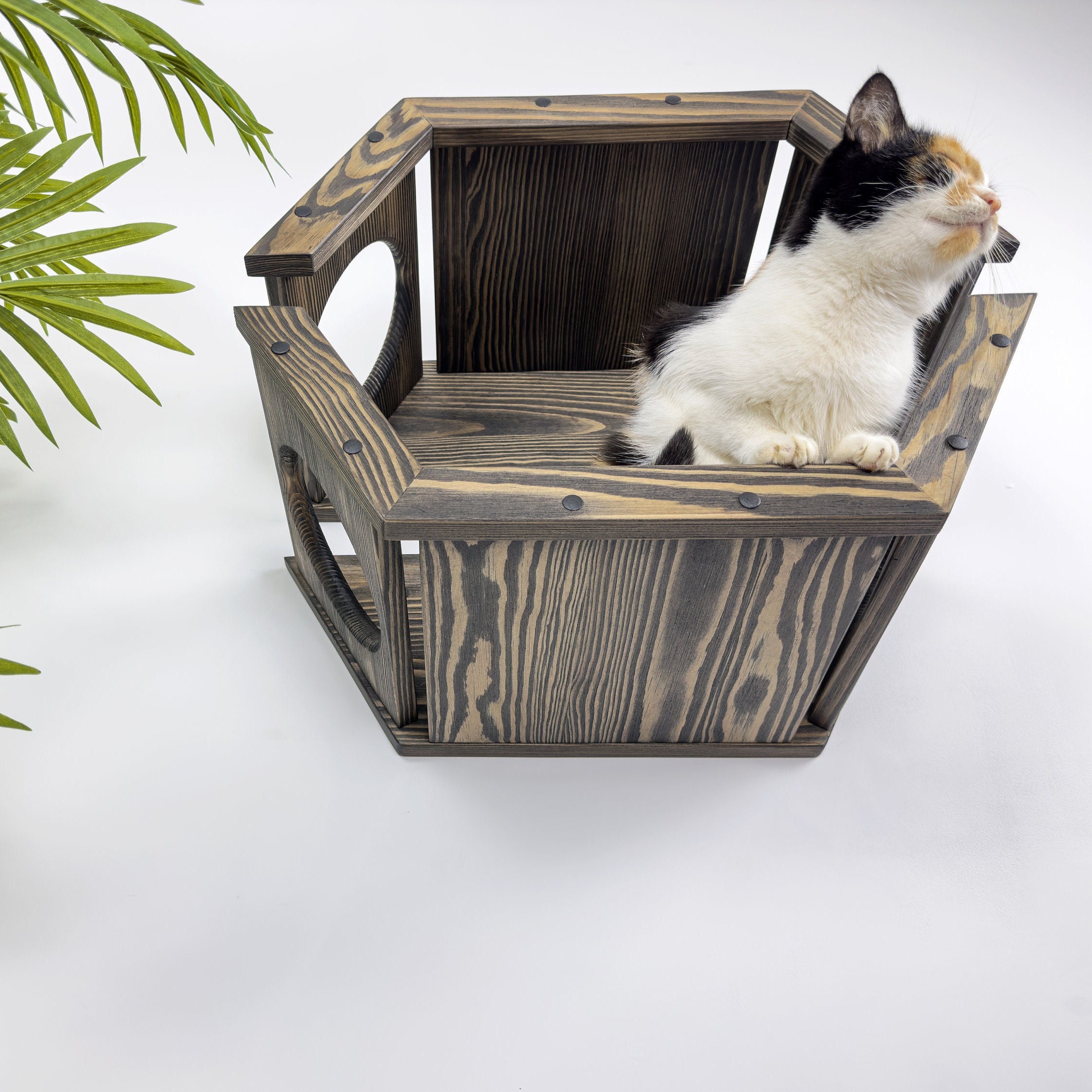 Pine Wood Cat Hexagon Shelves: Wall Mounted Cat Perch - Etsy