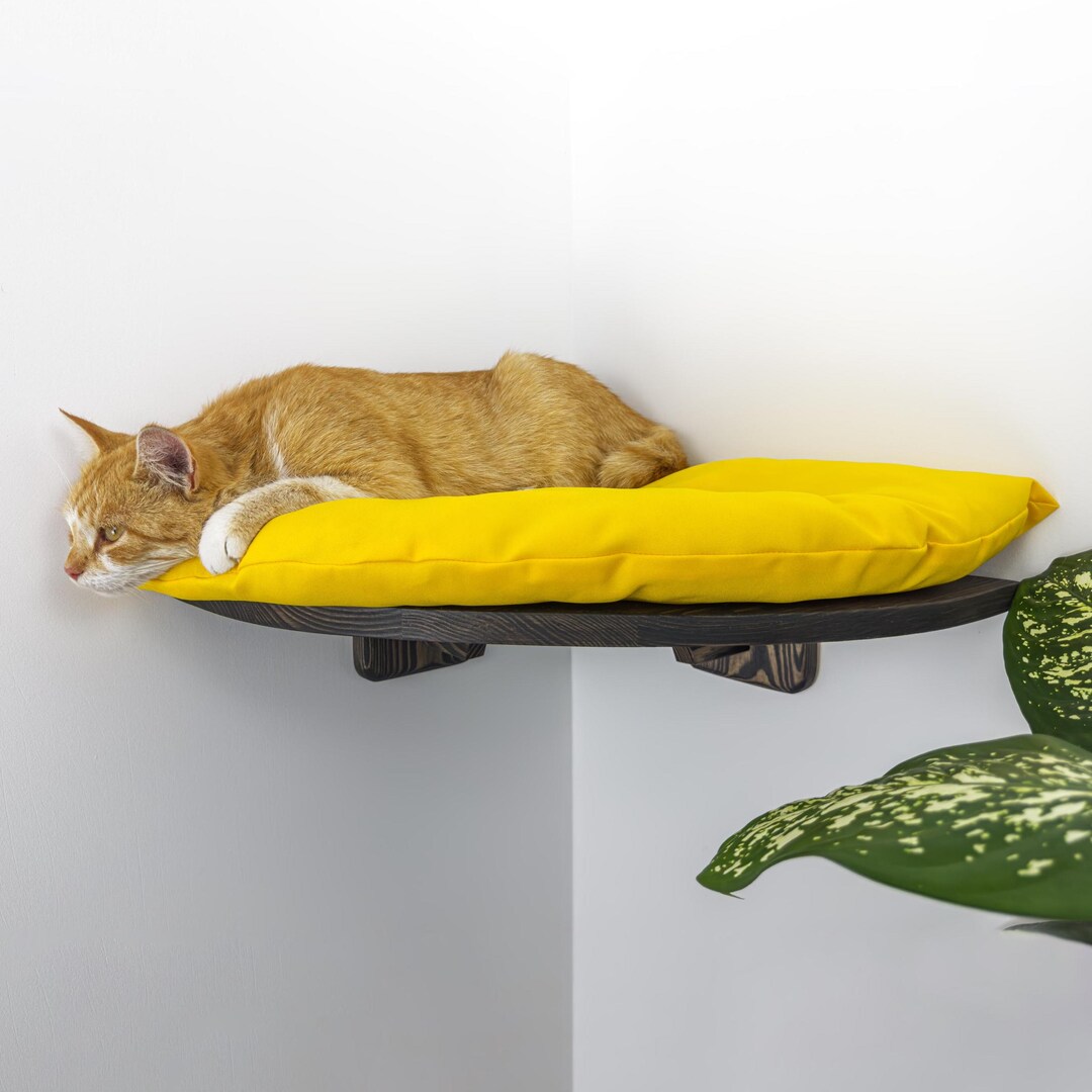 Wall Mounted Cat Bed Cat Corner Shelf Cat Wall Furniture Modern ...