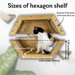 Cat Hexagons Wall Furniture, Shelves for Wall Tree Climb Pole, Hexagon ...
