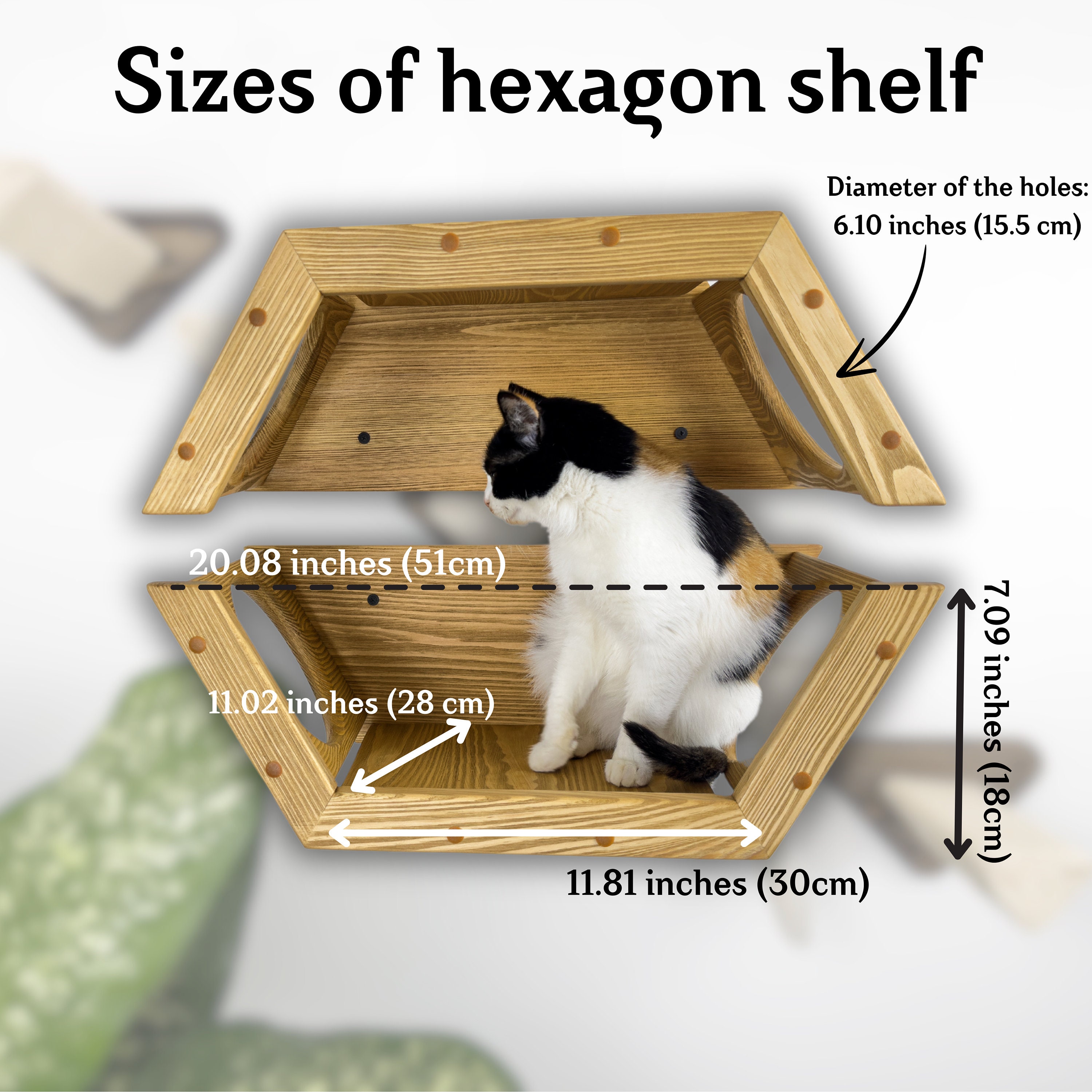 Cat Hexagons Wall Furniture, Shelves for Wall Tree Climb Pole, Hexagon ...