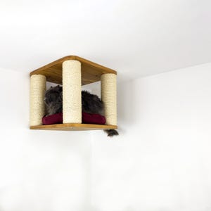 Cat Ceiling House Comfortable Wall Mounted Furniture Rustic Natural ...