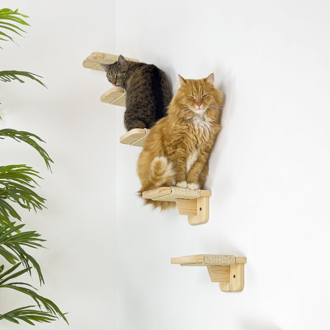 Cat Floating Steps Modern Cat Tree Wall Hanging Tree Furniture for Cats ...