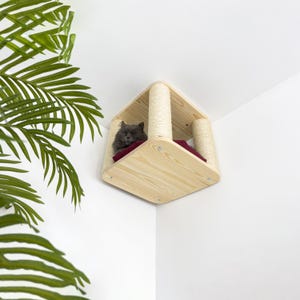 Cat Ceiling House Comfortable Wall Mounted Furniture Rustic Natural ...