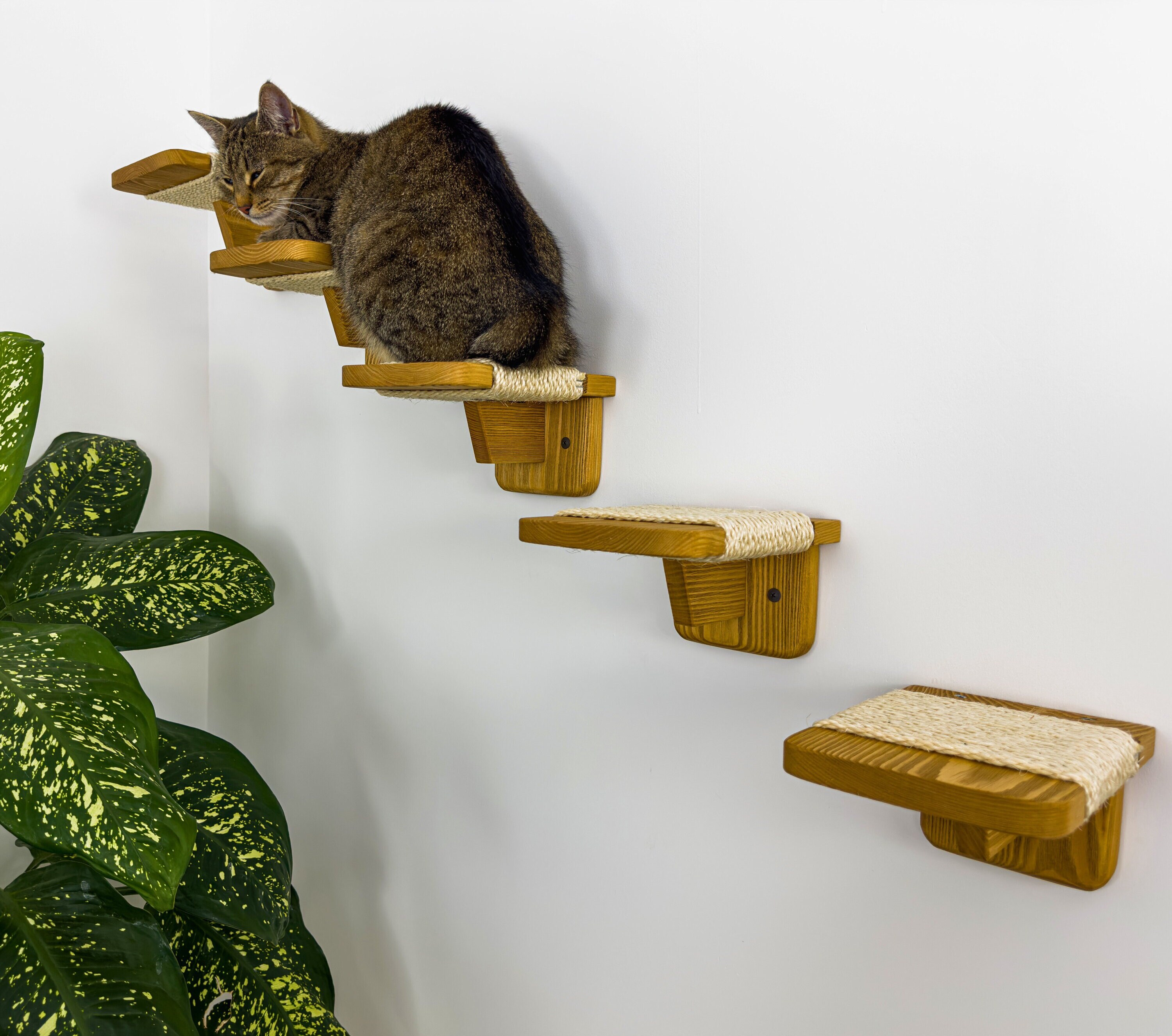 Cat Floating Steps Modern Cat Tree Wall Hanging Tree Furniture for Cats ...